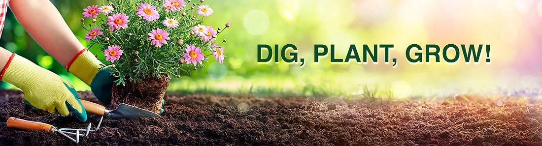 City Hardware True Value