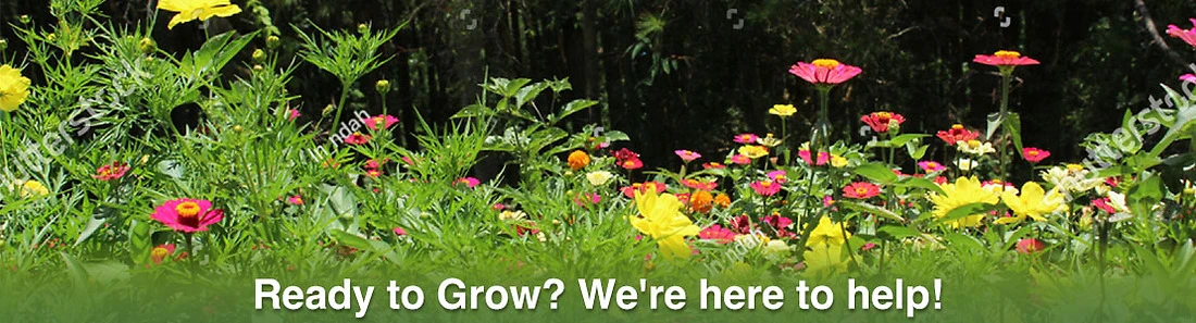 City Hardware True Value