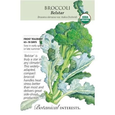 EPIC GARDENING Broccoli Belstar Hybrid Organic Seeds - Premium Quality ...