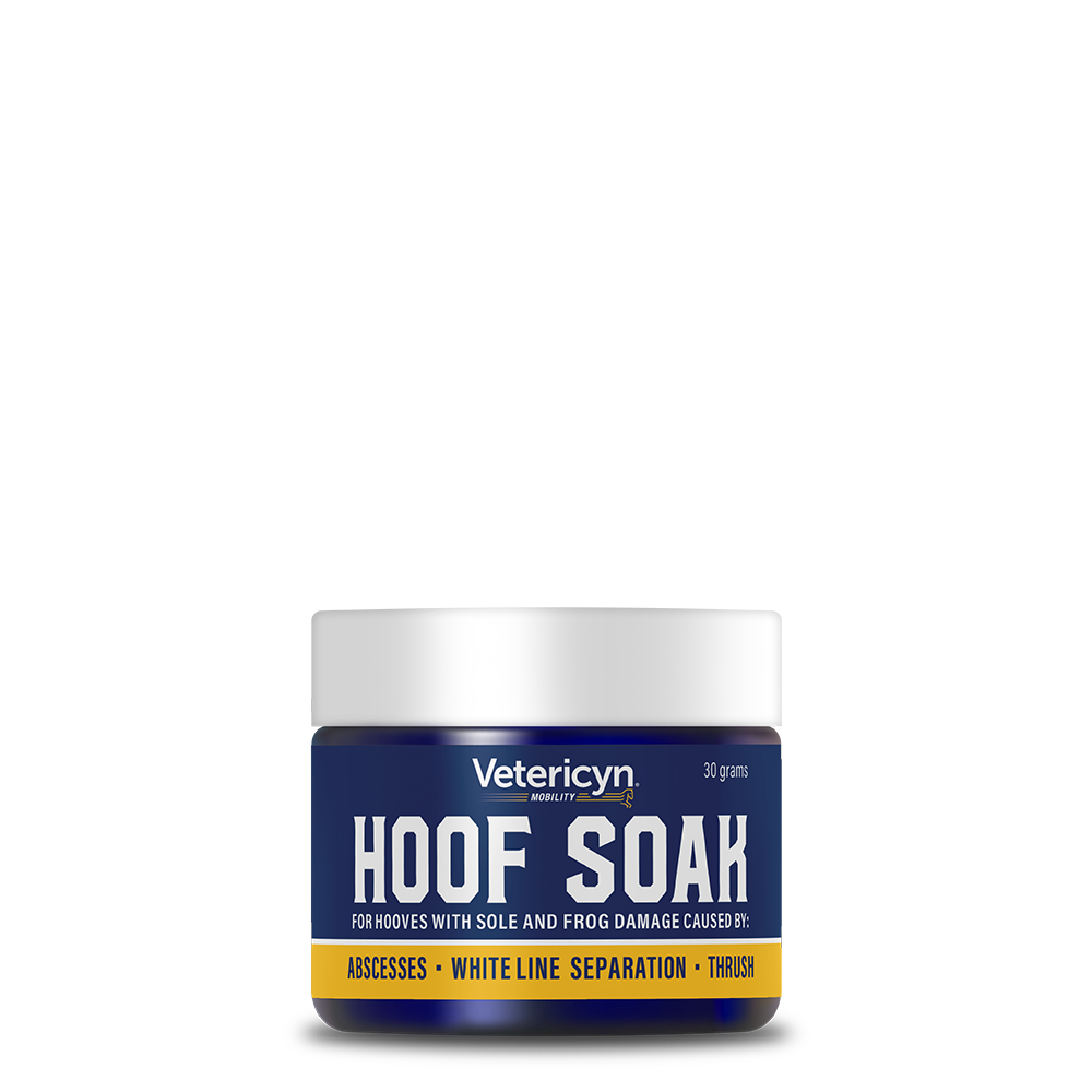 MIDWEST SUPPLY & DISTRIBUTING Mobility Hoof Soak For Horses - 32 Ounce ...