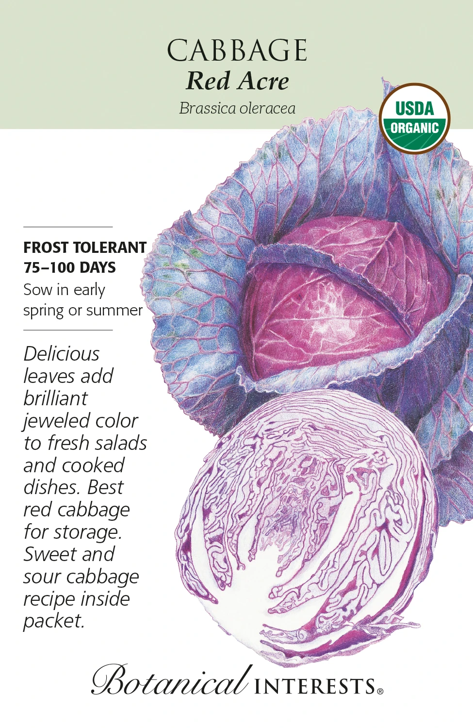 EPIC GARDENING Organic Red Acre Cabbage Seeds - 1.5 Grams For Home ...