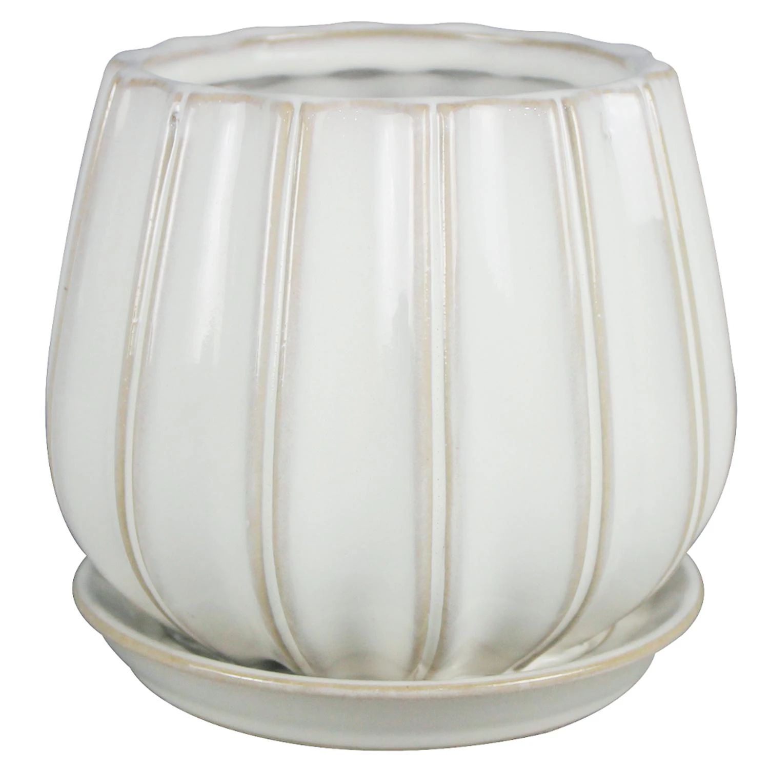 TRENDSPOT INC Trendspot Contour 5.5 In. H X 5.9 In. W Ceramic Planter ...
