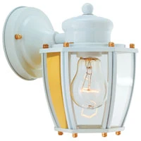 ORGILL, INC Hv-66961-wh 1-light Outdoor Wall Lantern - White Finish ...