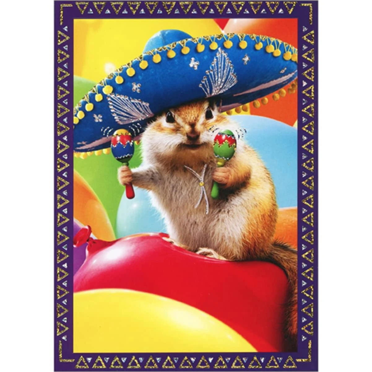 AVANTI PRESS Avanti Press Chipmunk Sombrero Funny / Humorous Birthday ...
